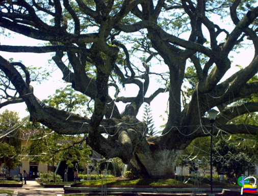 Charalá (Santander)